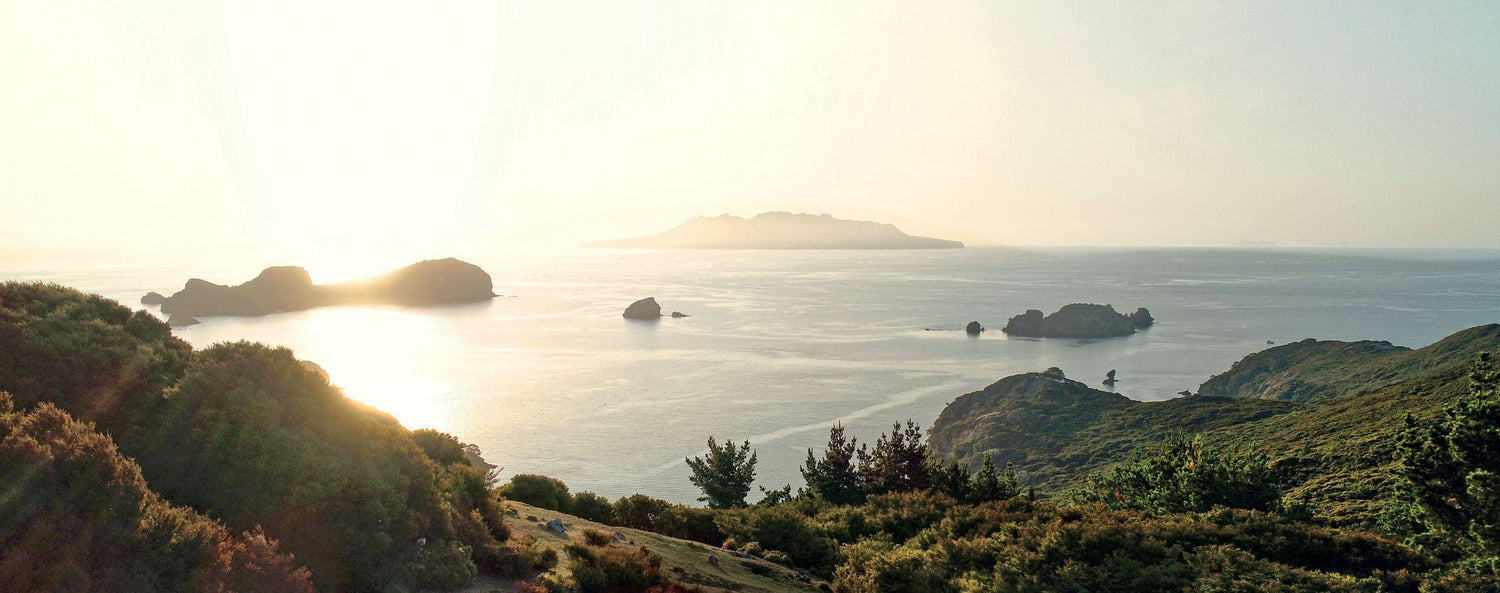 Sven's Island — 100% Natural Skin and Body Care Products – Svens Island ...