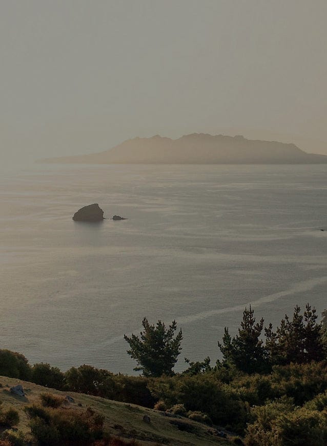 Svens Island Ingredients | Natural Eczema Relief with Manuka & More ...